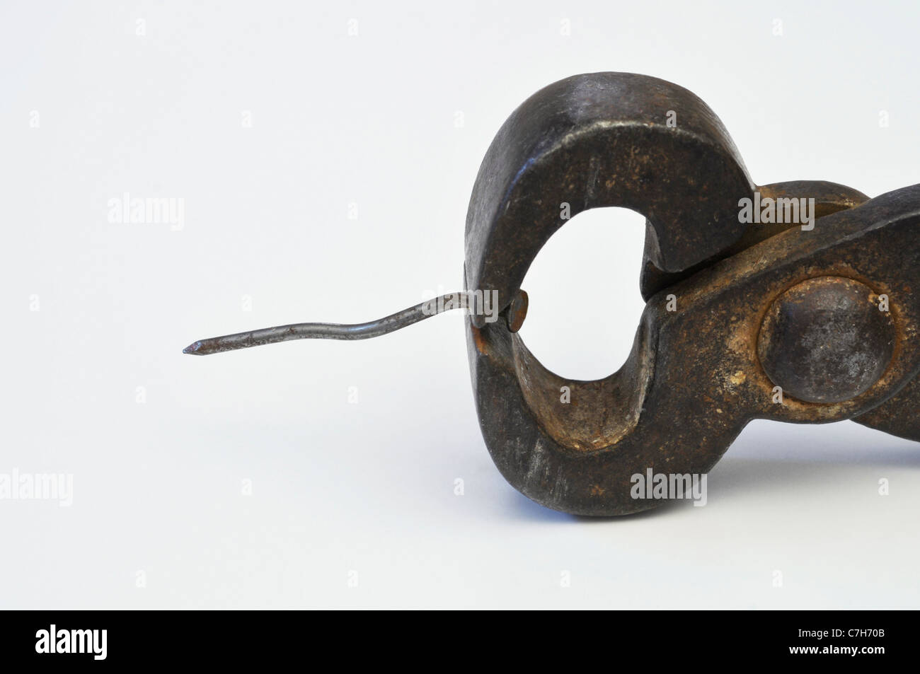 Two pincers hi-res stock photography and images - Alamy