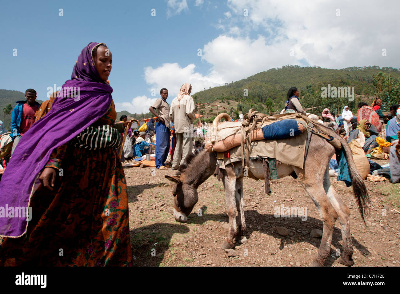A colourful local woman walks through Sulula market near Dessie in ...