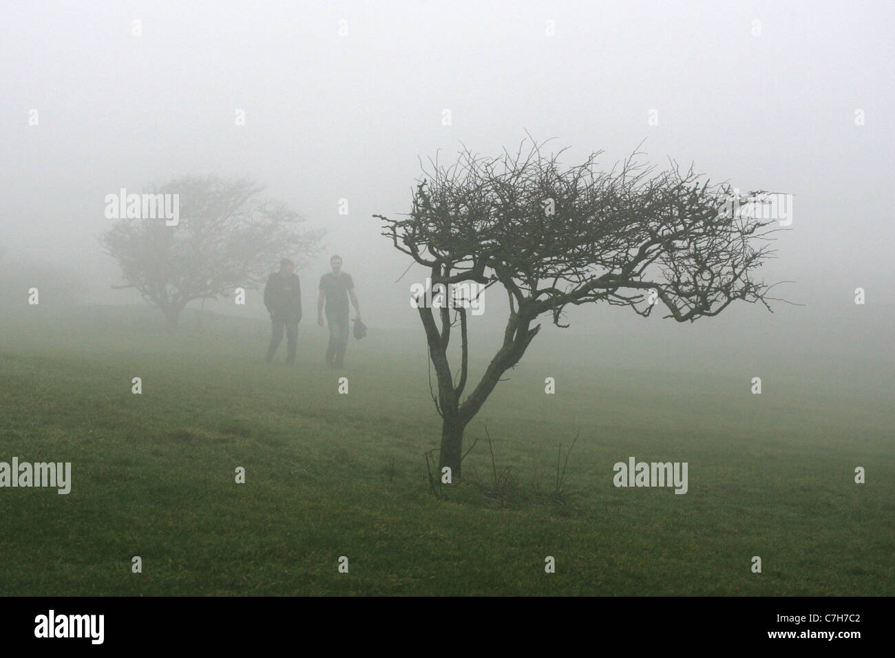 Two men walking through the mist at the top of Beachy Head, East Sussex ...
