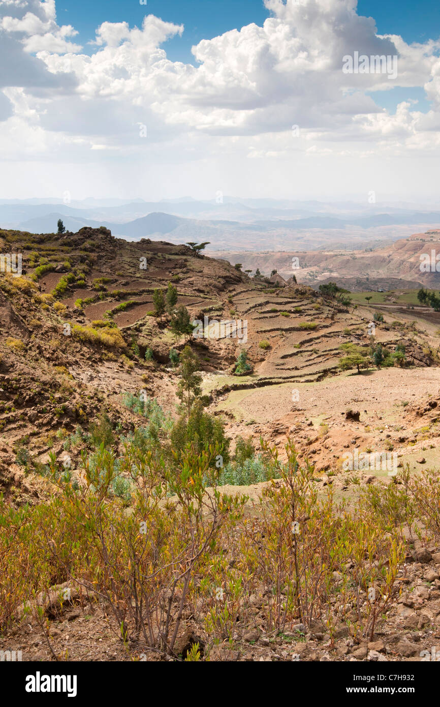 Woldia ethiopia hi-res stock photography and images - Alamy