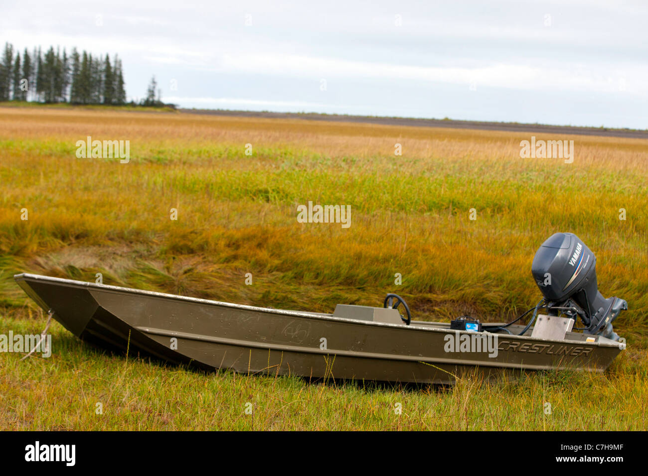 Single engine fishing boat sitting in a marshy field of grass, Lake ...