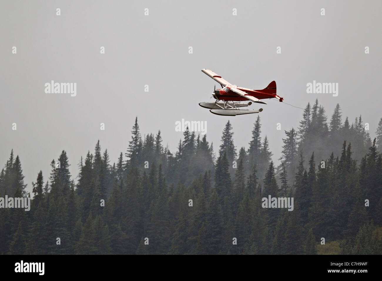 Single engine float plane hi-res stock photography and images - Alamy