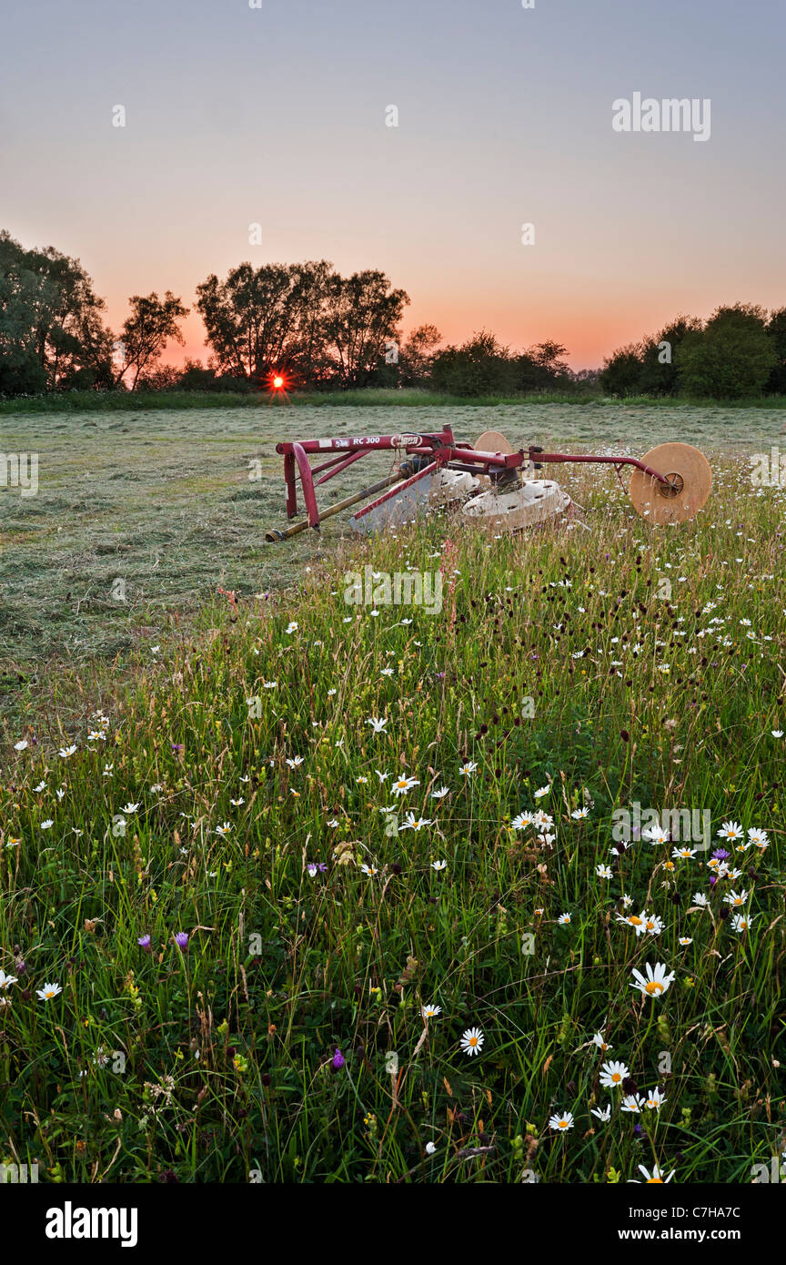 Hay rowing tractor mounted machine at North Meadow Cricklade National ...