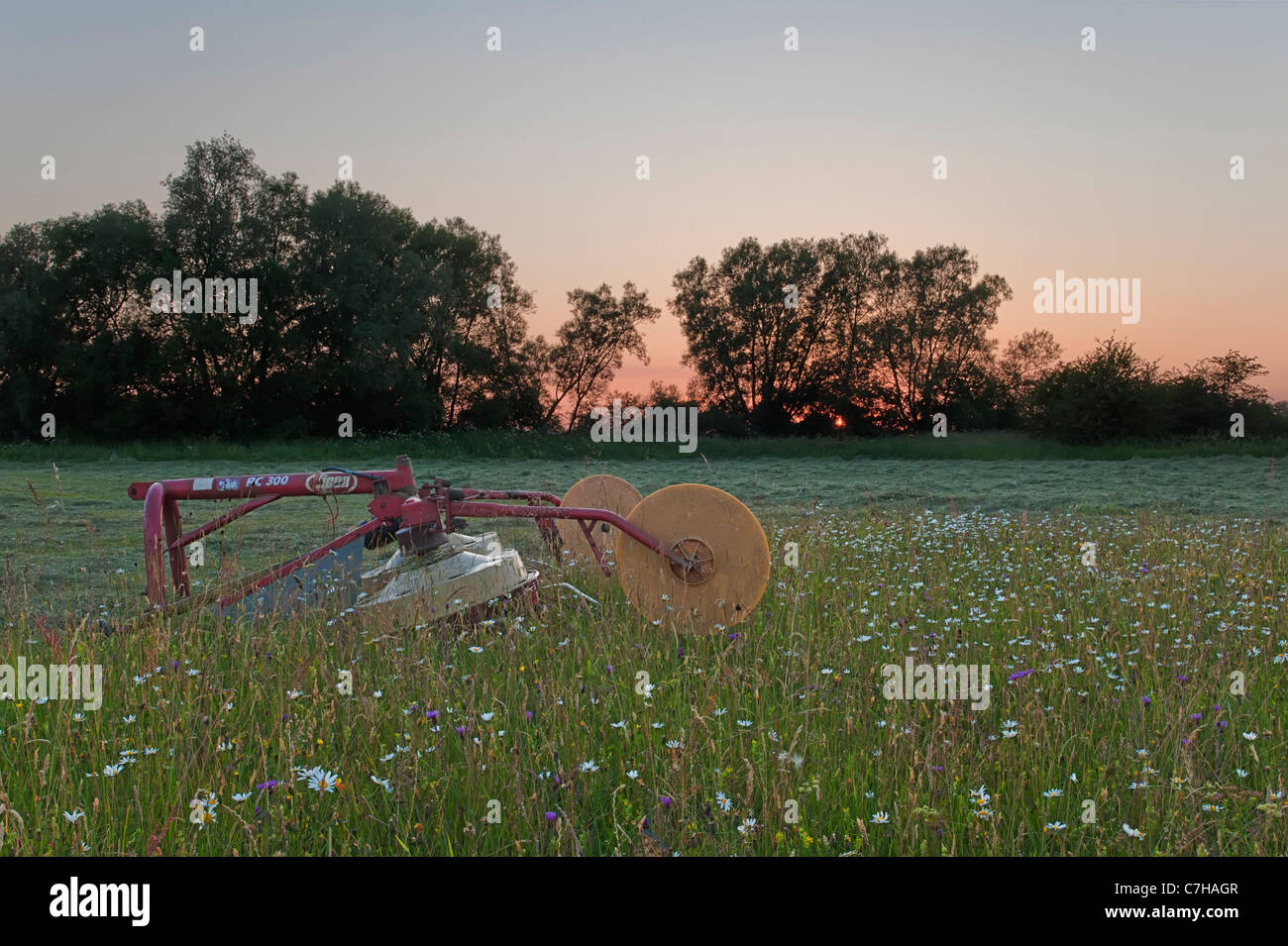 Hay meadow hi-res stock photography and images - Alamy