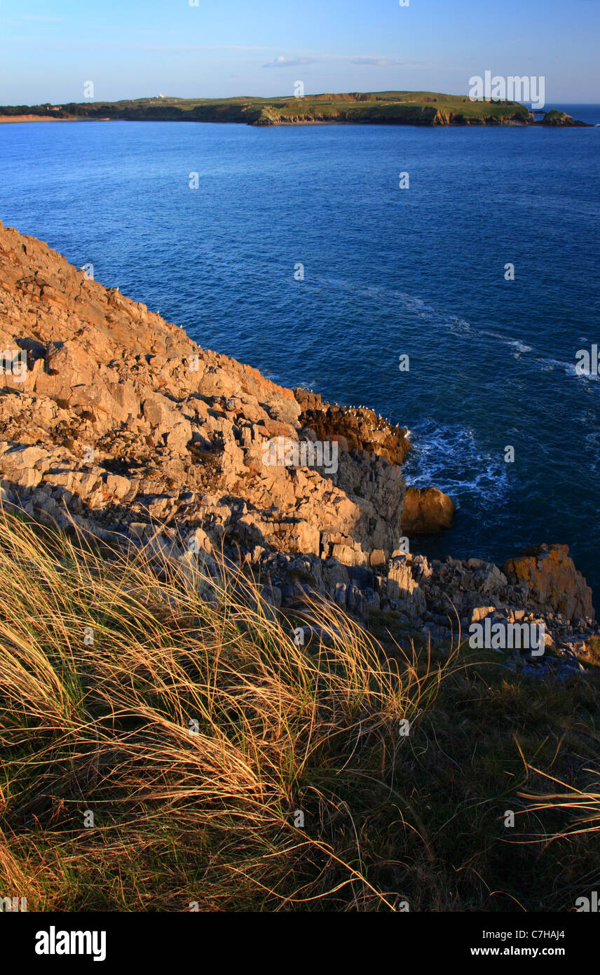 Caldey Island viewed from Giltar Point, near Tenby, Pembrokeshire ...