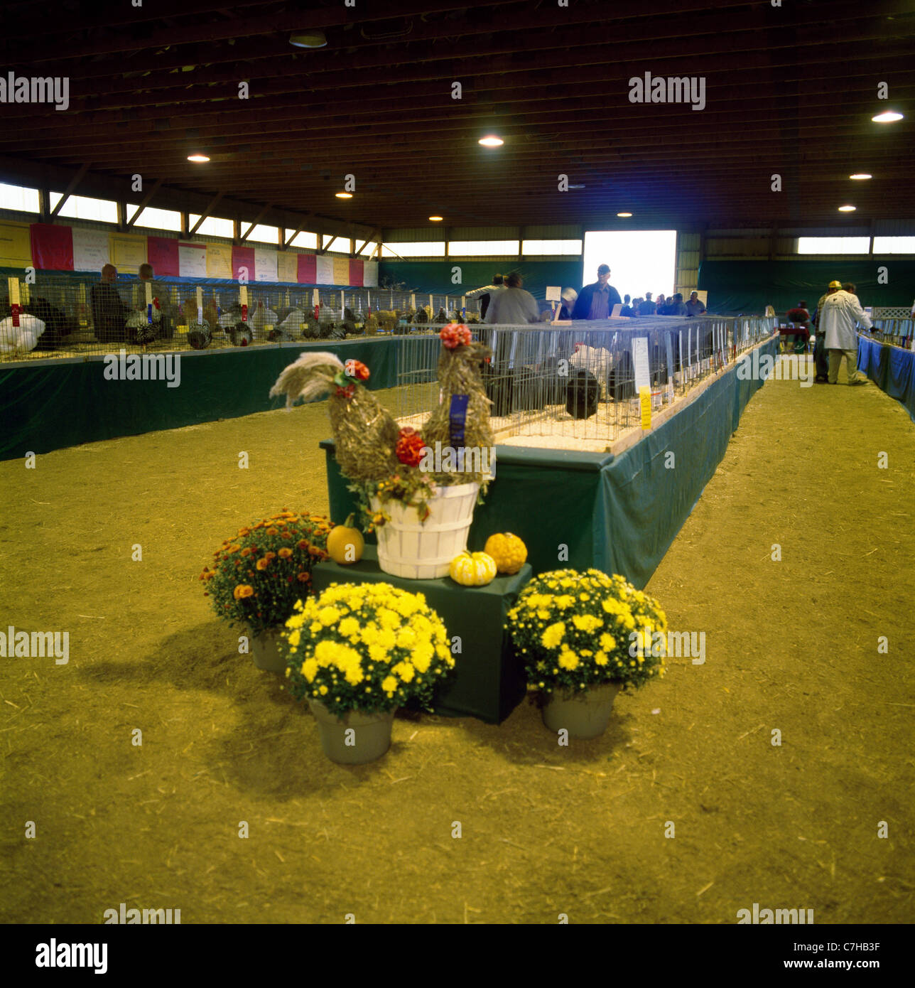 FERGUS POULTRY SHOW, ONTARIO CANADA Stock Photo - Alamy