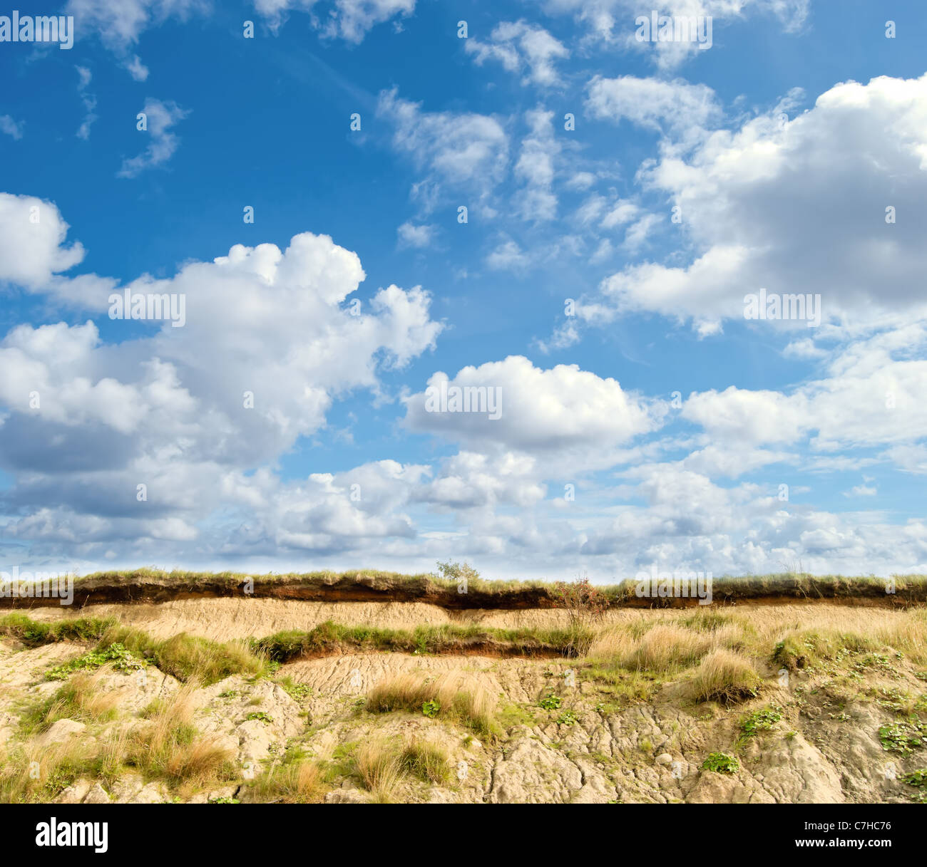 Poor Vegetation High Resolution Stock Photography and Images - Alamy