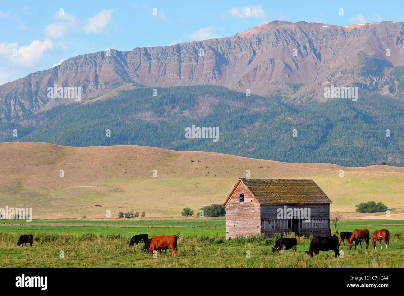 Joseph Field High Resolution Stock Photography and Images - Alamy