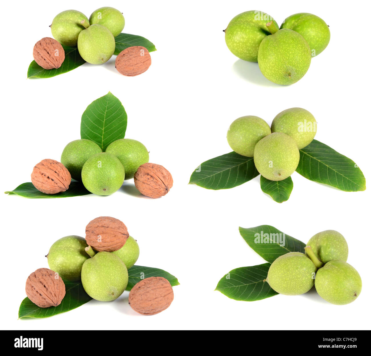 green walnuts isolated on white background Stock Photo - Alamy
