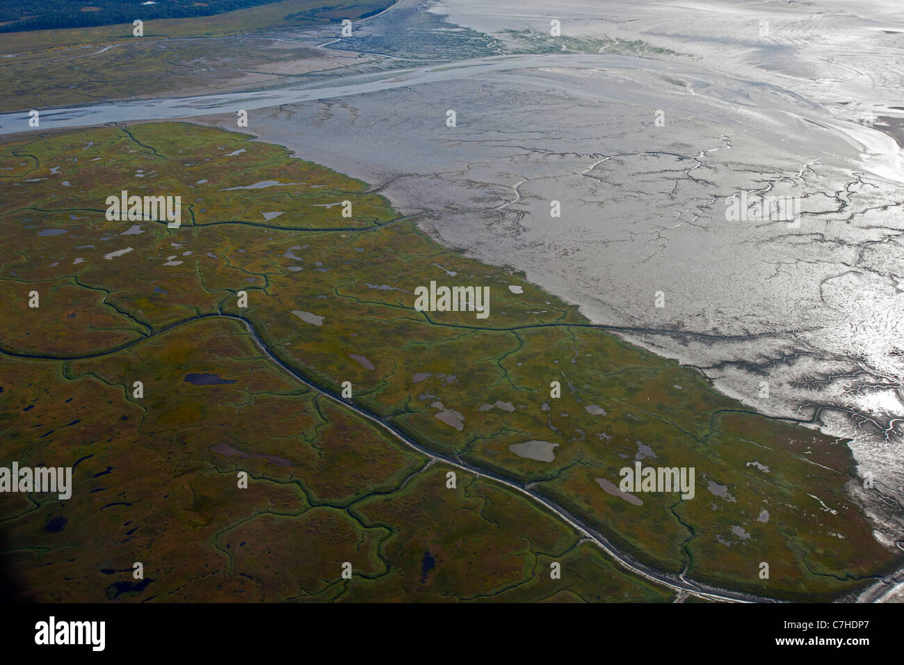 Aerial view of marsh lands along the Cook Inlet, Alaska, United States ...