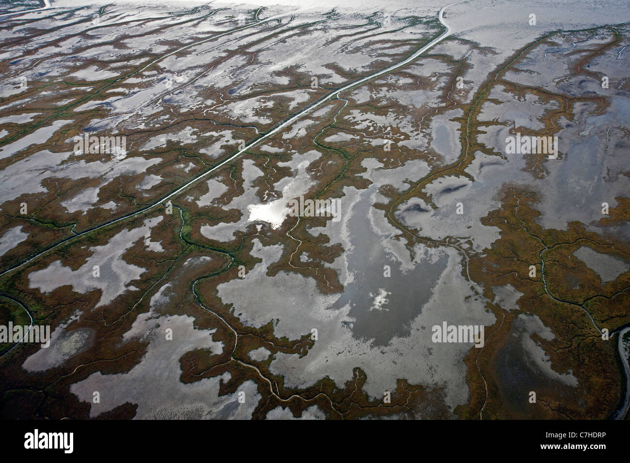 Alaska land tour hi-res stock photography and images - Alamy