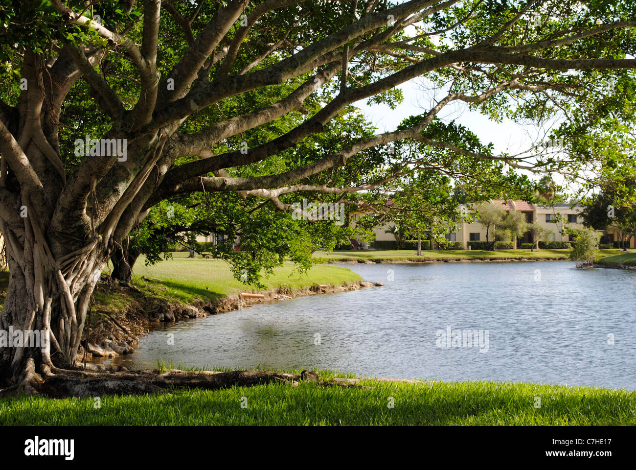 Weston florida hi-res stock photography and images - Alamy