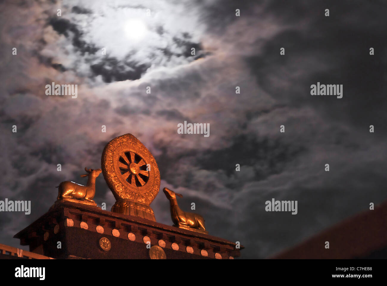Lhasa tibet gold hi-res stock photography and images - Alamy