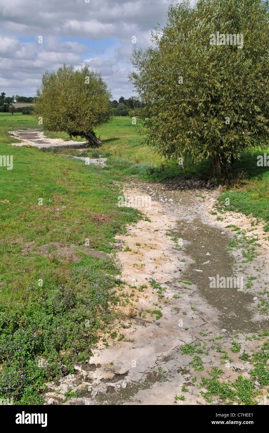 Dry river bed in summer. River Till, Winterbourne Stoke, Wiltshire ...