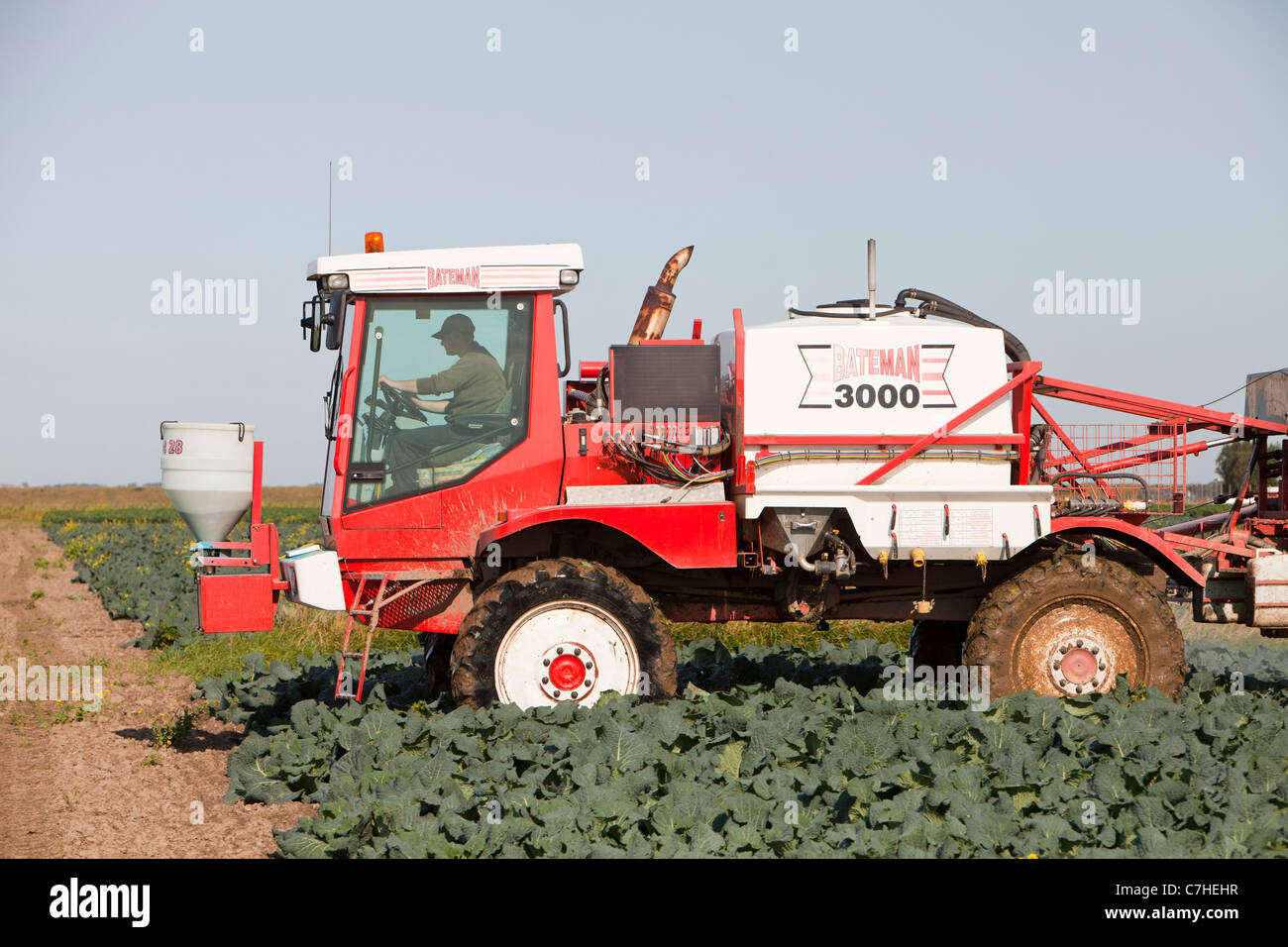 Farmer spraying cabbages pesticide banks hi-res stock photography and ...