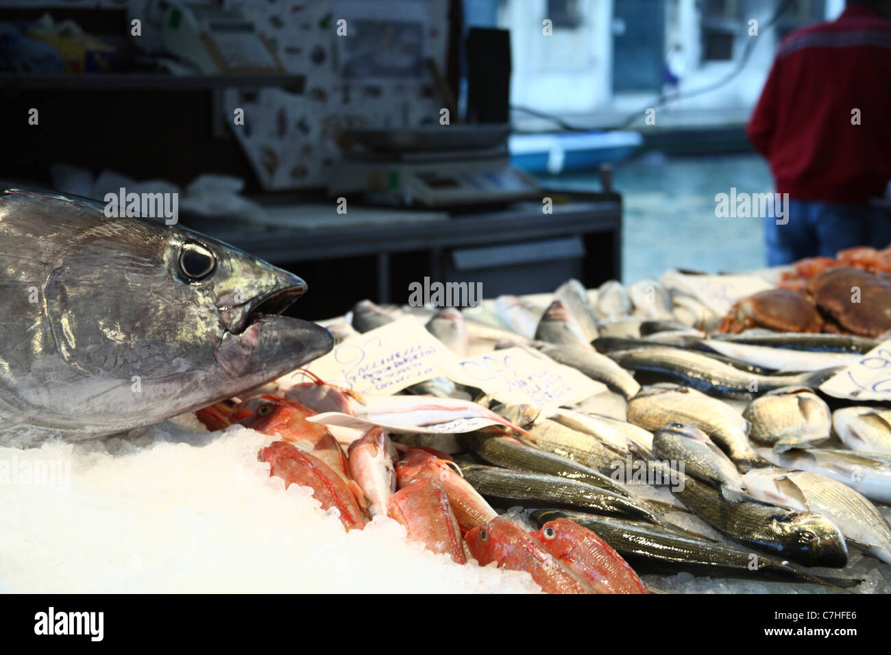 fish market, Venice Stock Photo - Alamy
