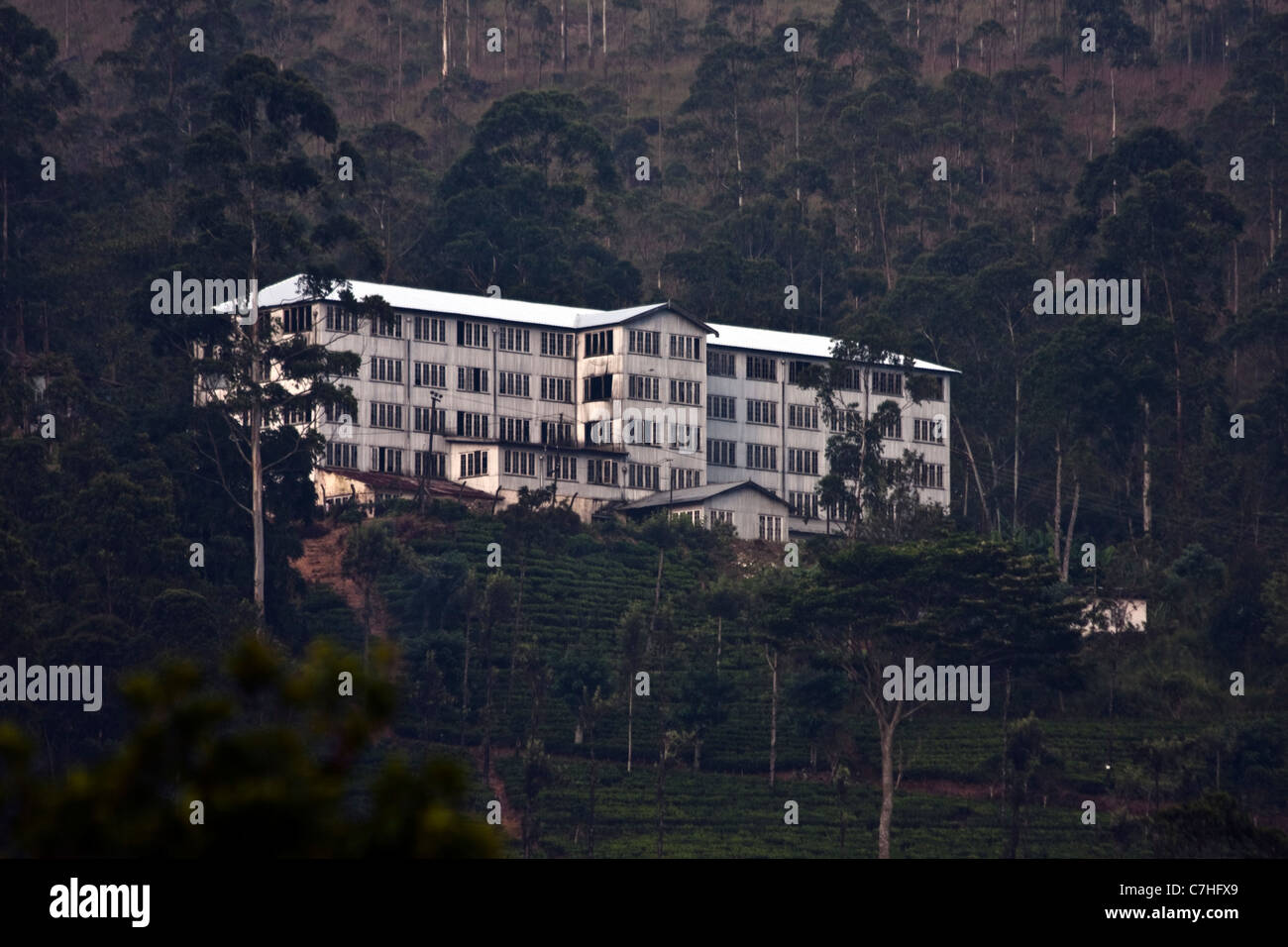 Tea Factory in the Tea Plantations, Hatton, Sri Lanka Stock Photo - Alamy