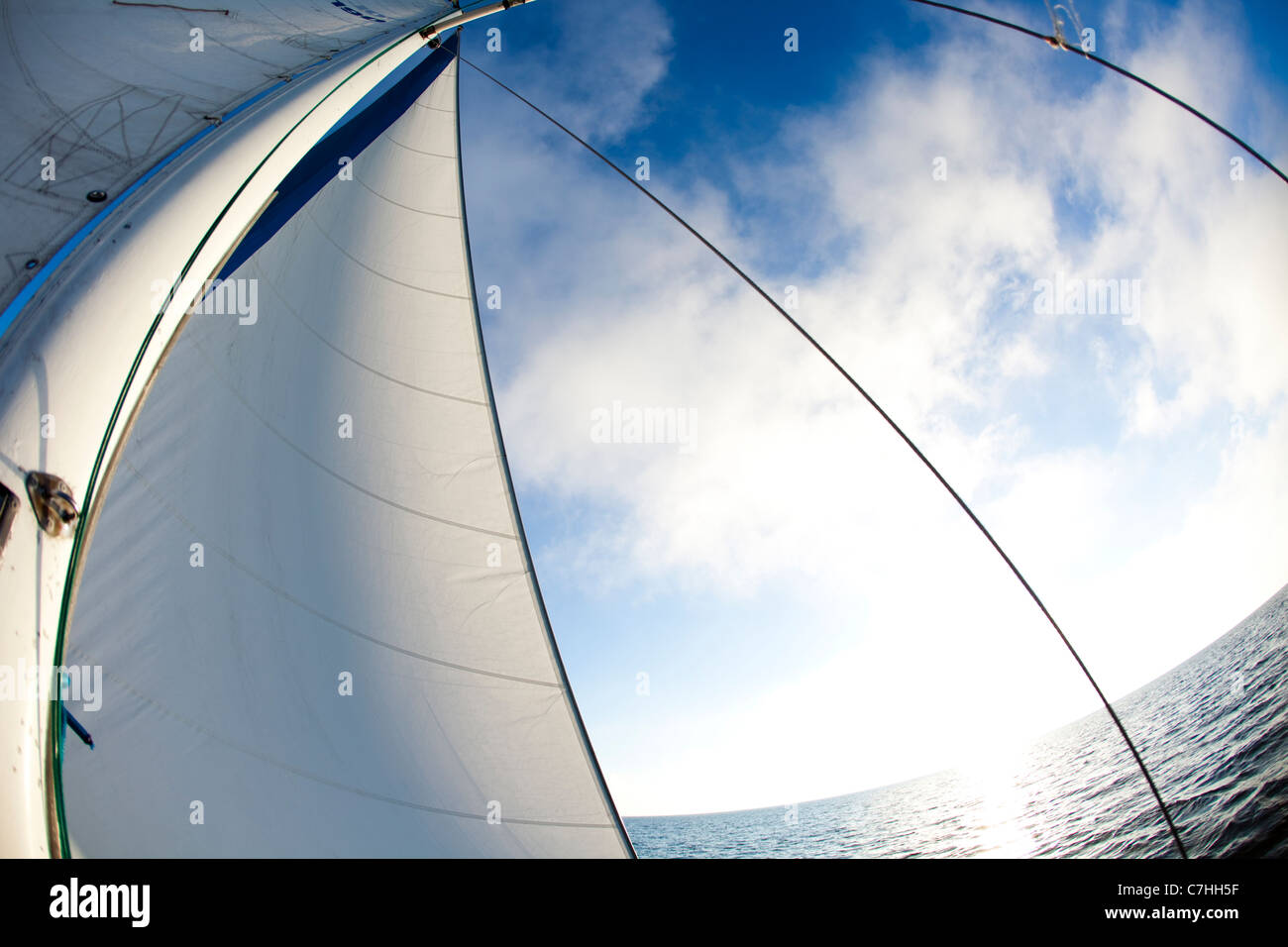 Sailing on a sunny day Stock Photo - Alamy
