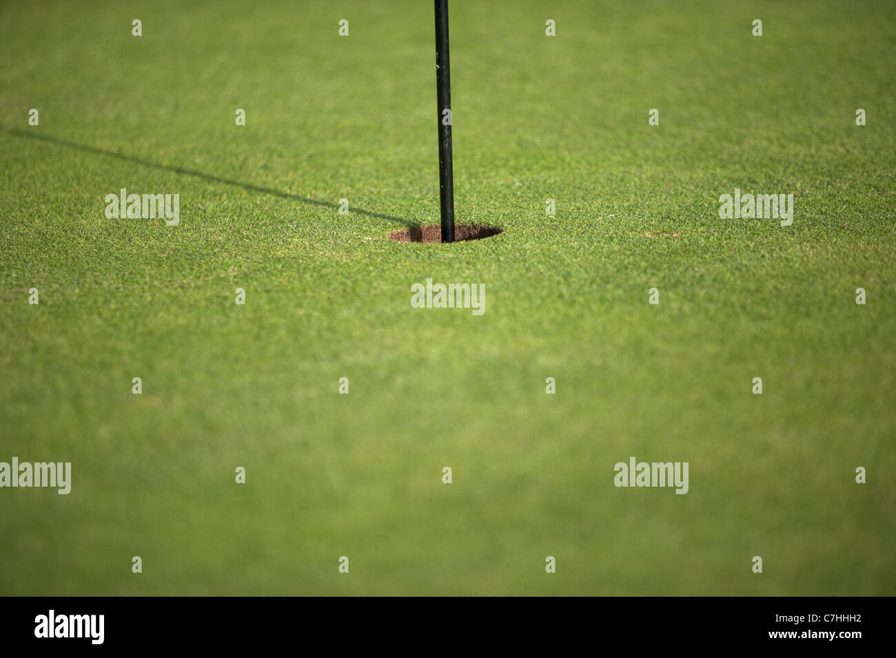 Depth of field course hi-res stock photography and images - Alamy