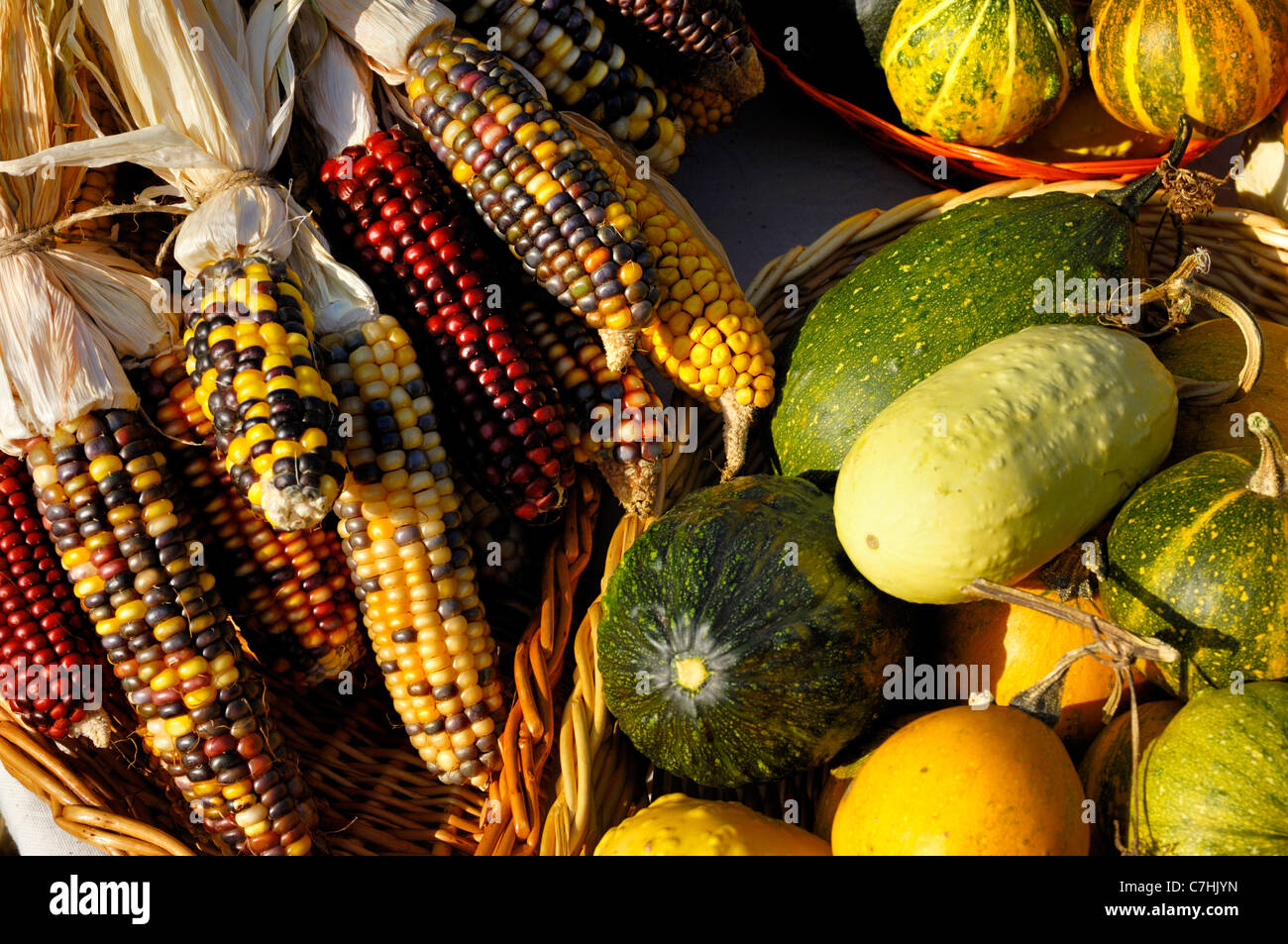 Baskets with colorful corn, gourds and pumpkins Stock Photo - Alamy