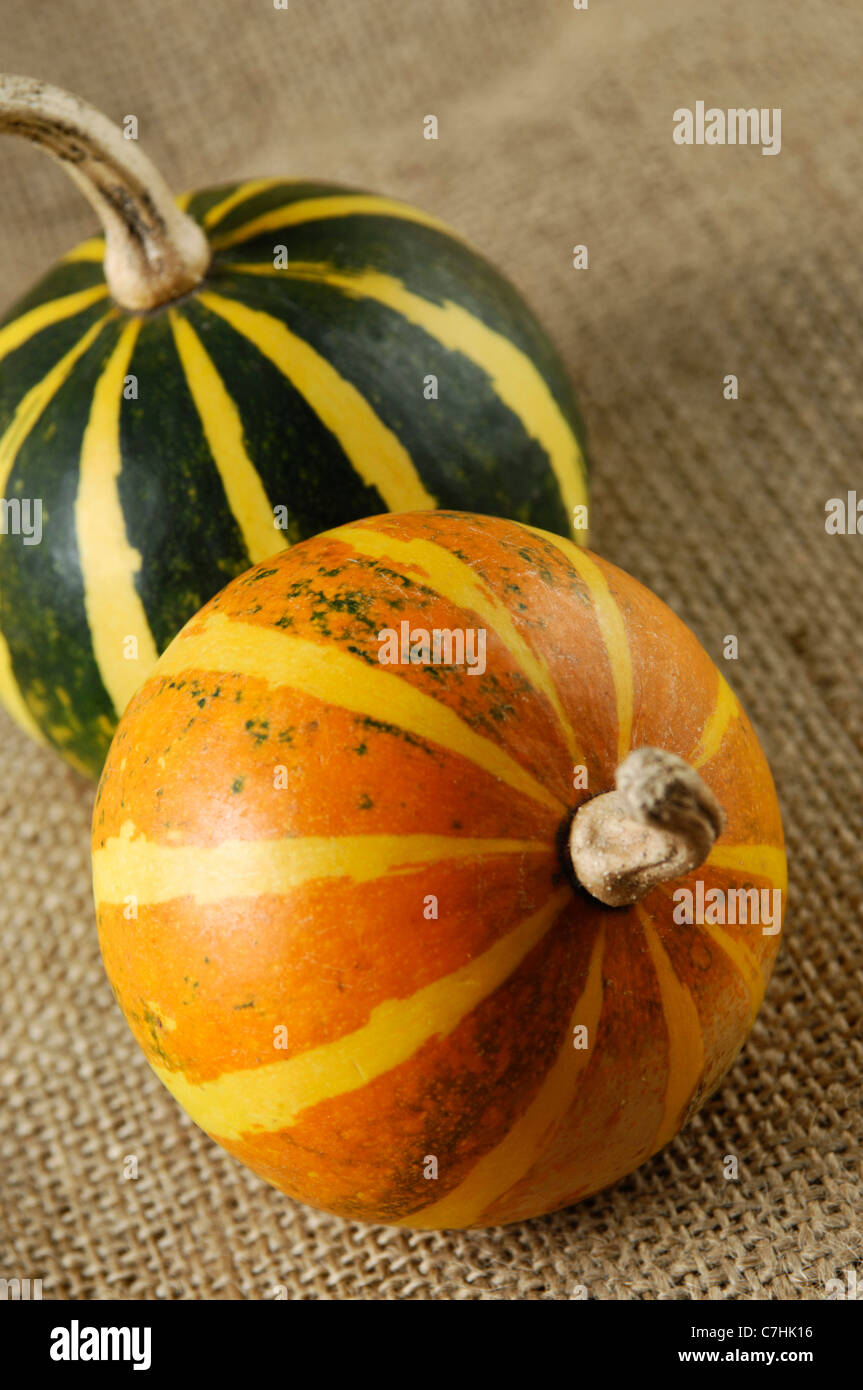 Two striped gourds on burlap background Stock Photo - Alamy