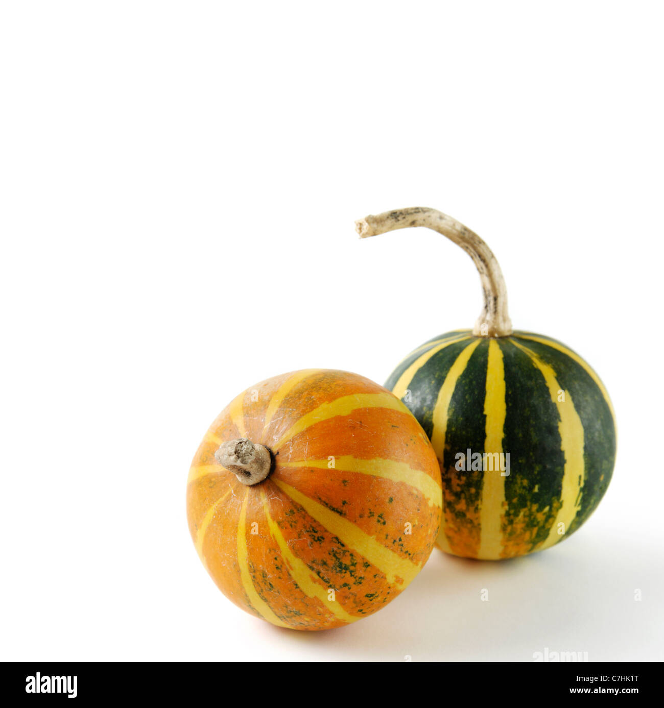 Two gourds isolated on white background Stock Photo - Alamy