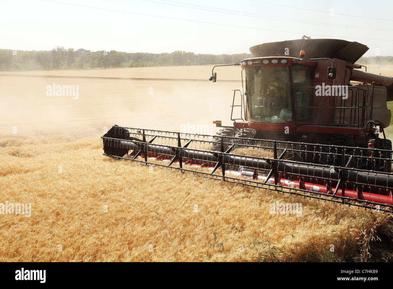 Agriculture and harvest hi-res stock photography and images - Alamy