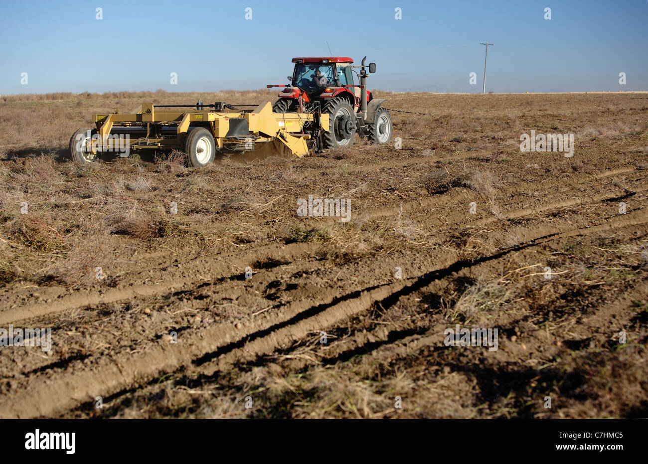 Potato harvester truck hi-res stock photography and images - Alamy