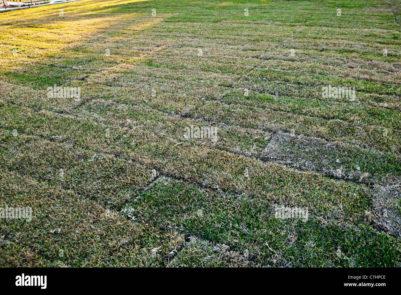 Newly laid turf hi-res stock photography and images - Alamy