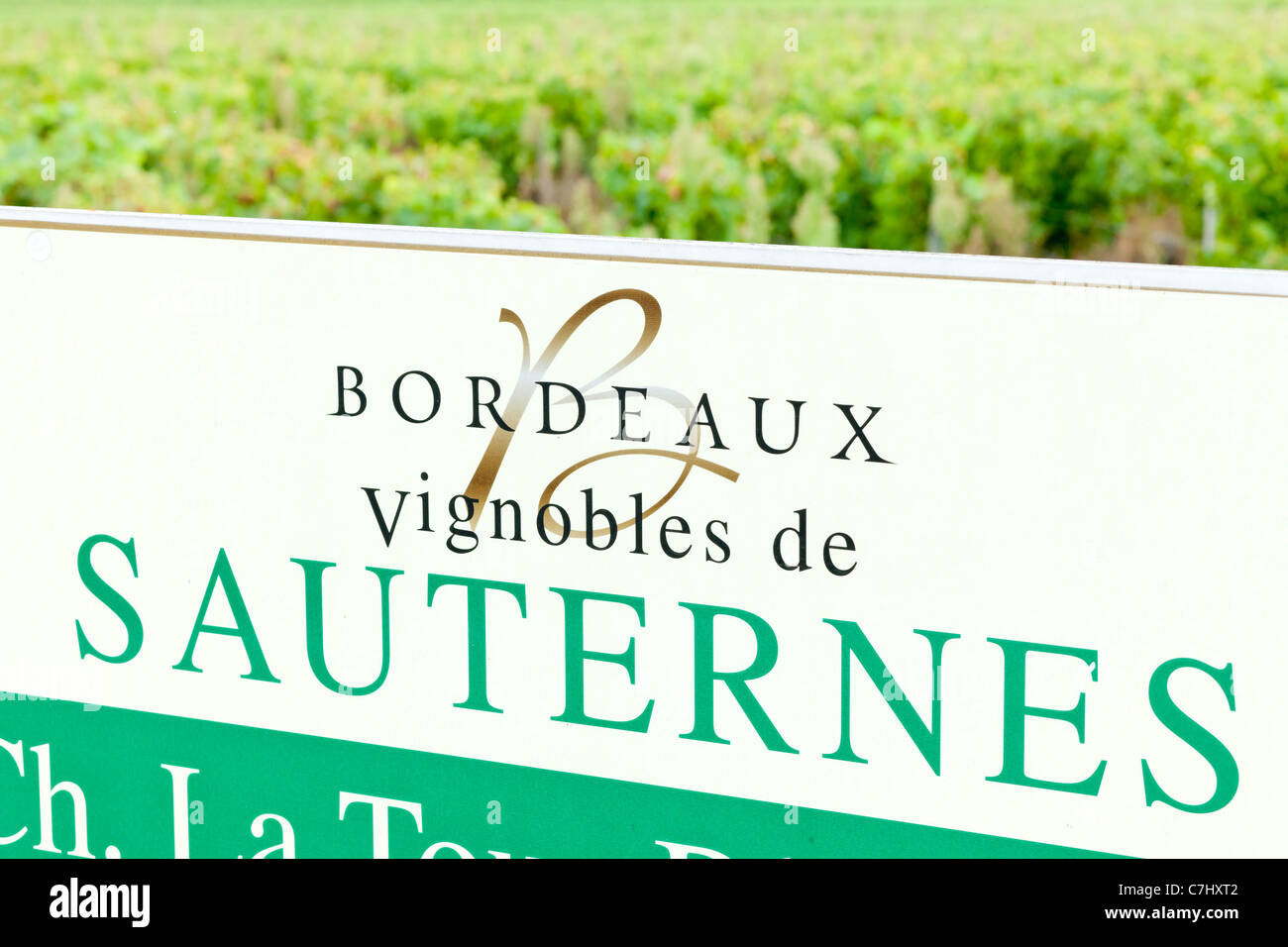 Sauternes hi-res stock photography and images - Alamy