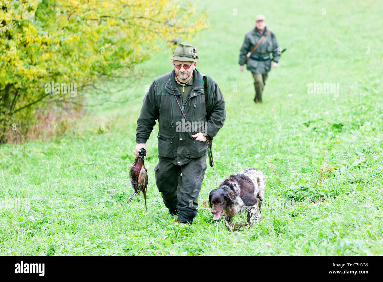 Gun dog hunt hi-res stock photography and images - Alamy