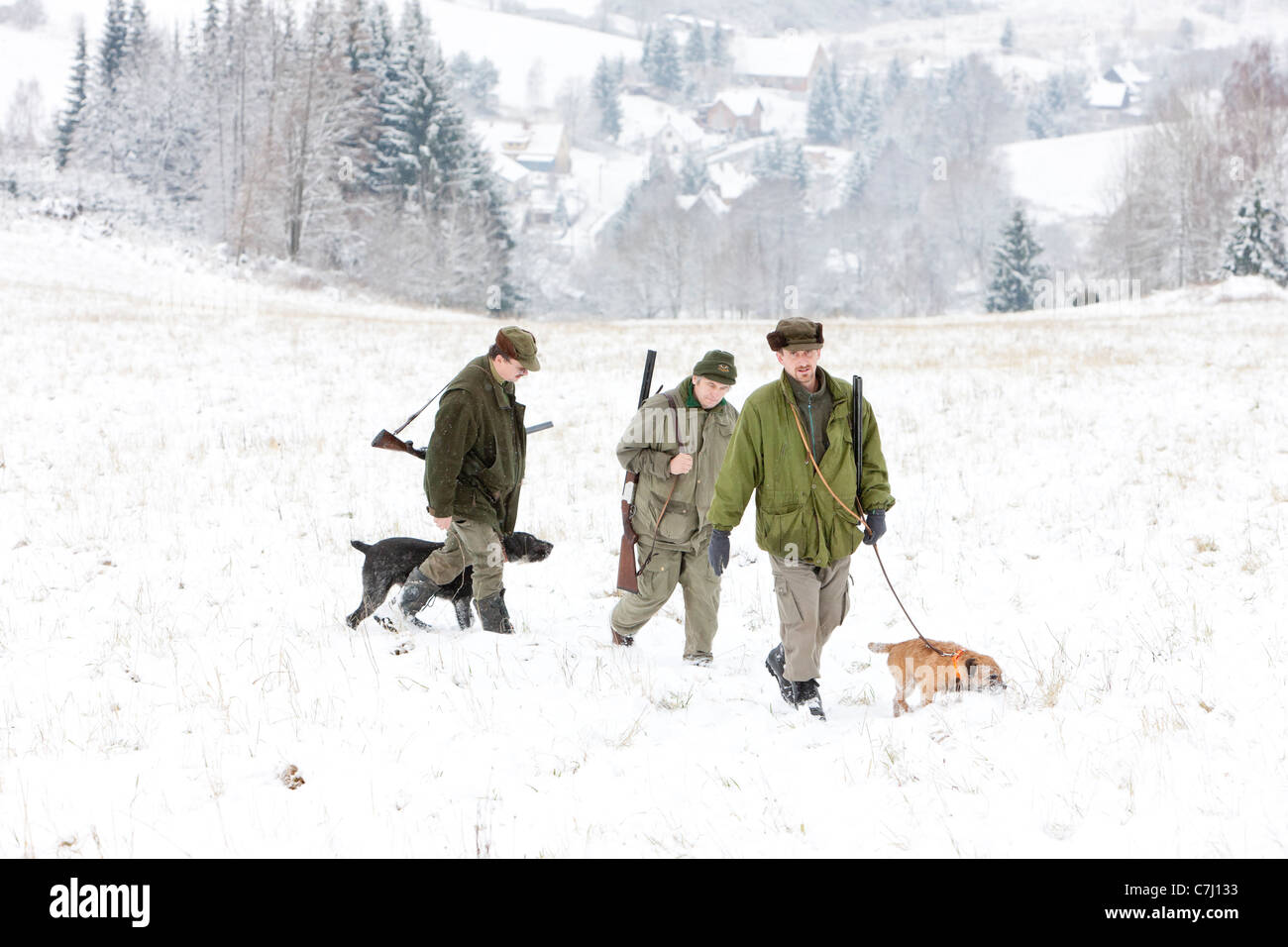 hunters with their dogs hunting Stock Photo - Alamy