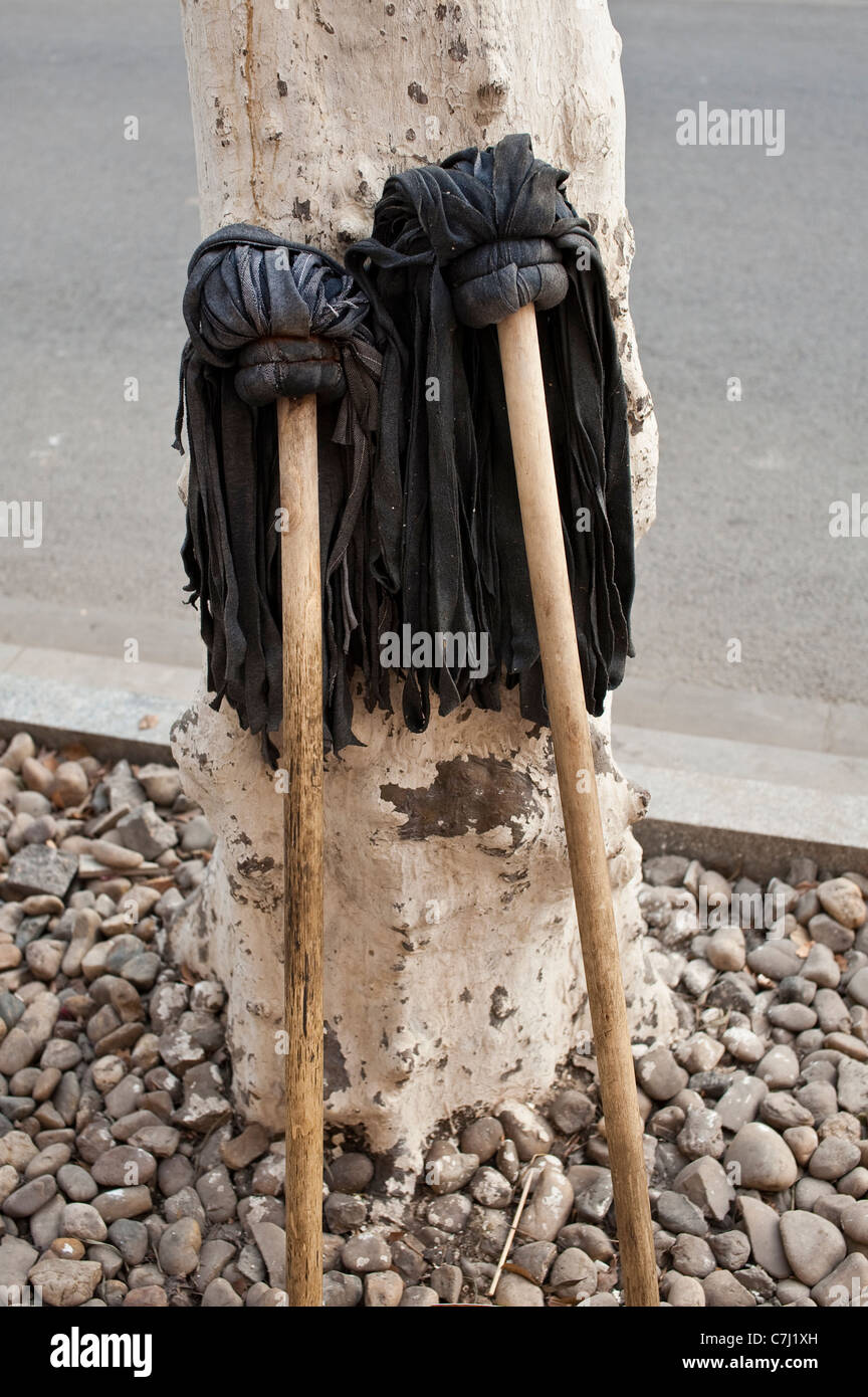 Two mops lean against a tree in Nanjing Stock Photo - Alamy