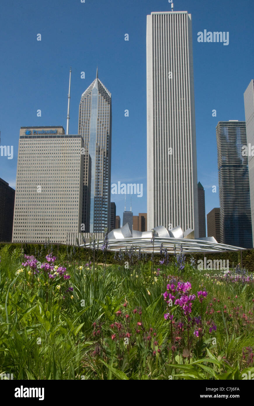 Skyscrapers on East Randolph Street from The Lurie Garden in Millennium ...
