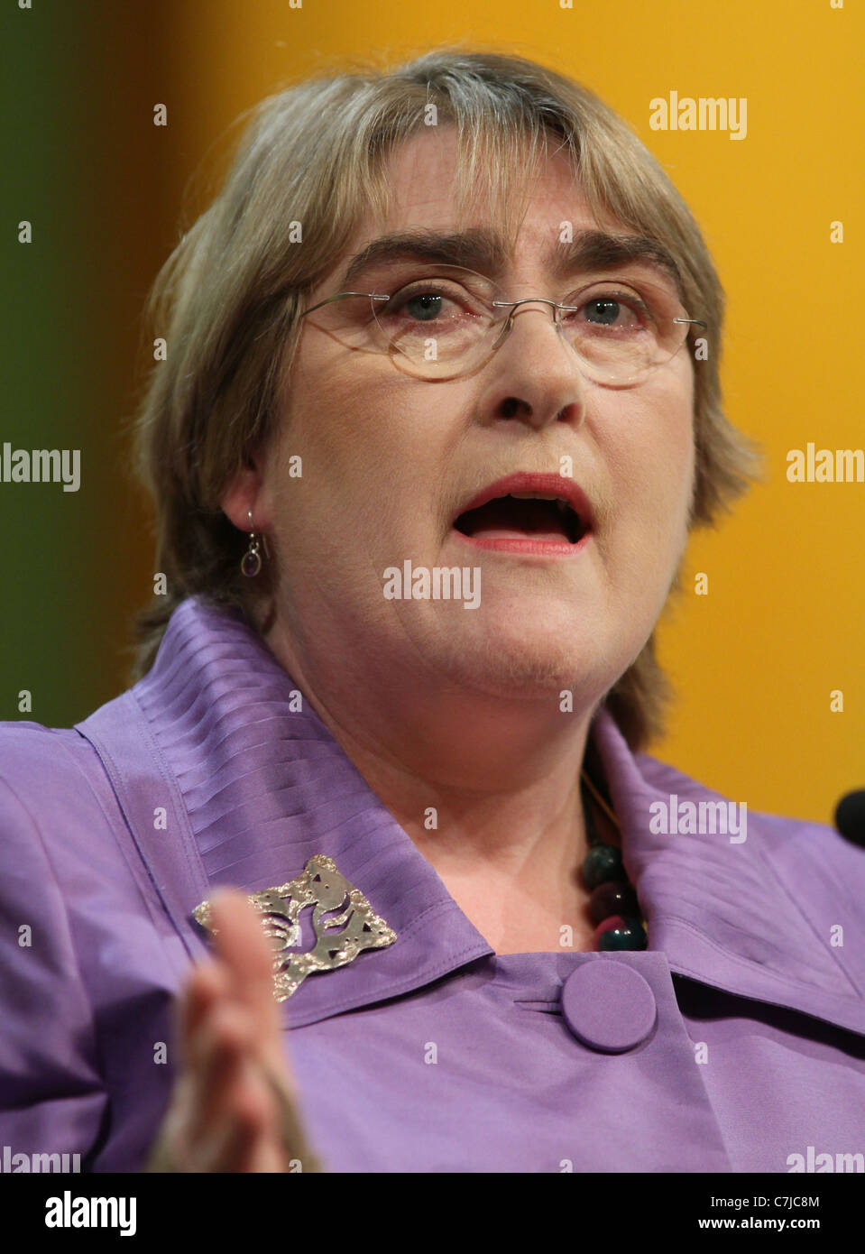 BARONESS BRINTON LIBERAL DEMOCRAT PARTY 18 September 2011 THE ICC ...