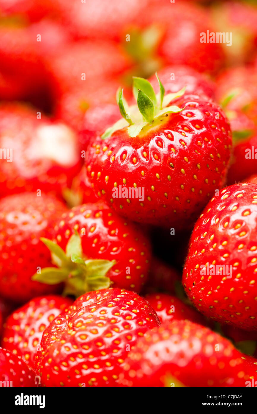 Multiple strawberries hi-res stock photography and images - Alamy