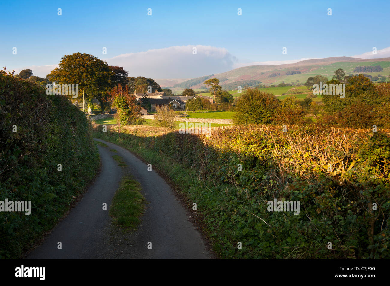 Uk color colour horizontal country lane cumbria countryside england hi ...