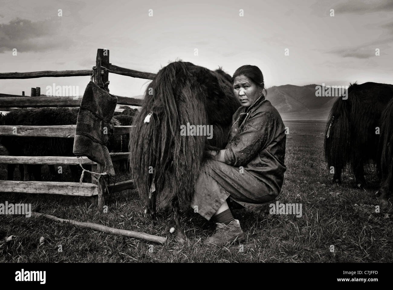 Faces beyond frontiers, Mongolia Portraits Stock Photo - Alamy