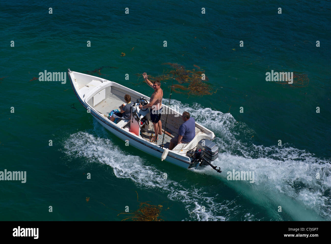 English channel fish hi-res stock photography and images - Alamy