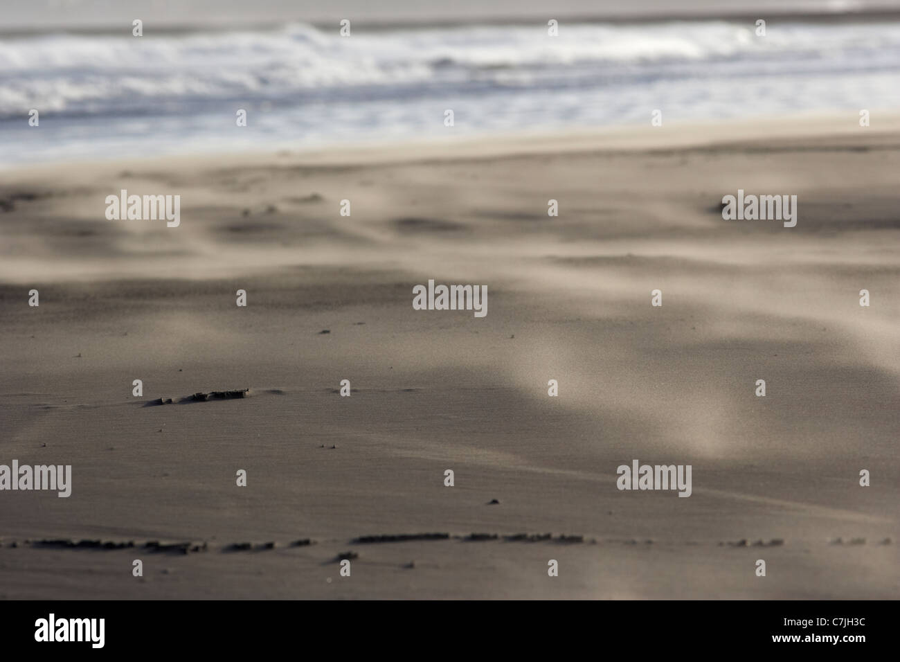 Blowing sand hi-res stock photography and images - Alamy