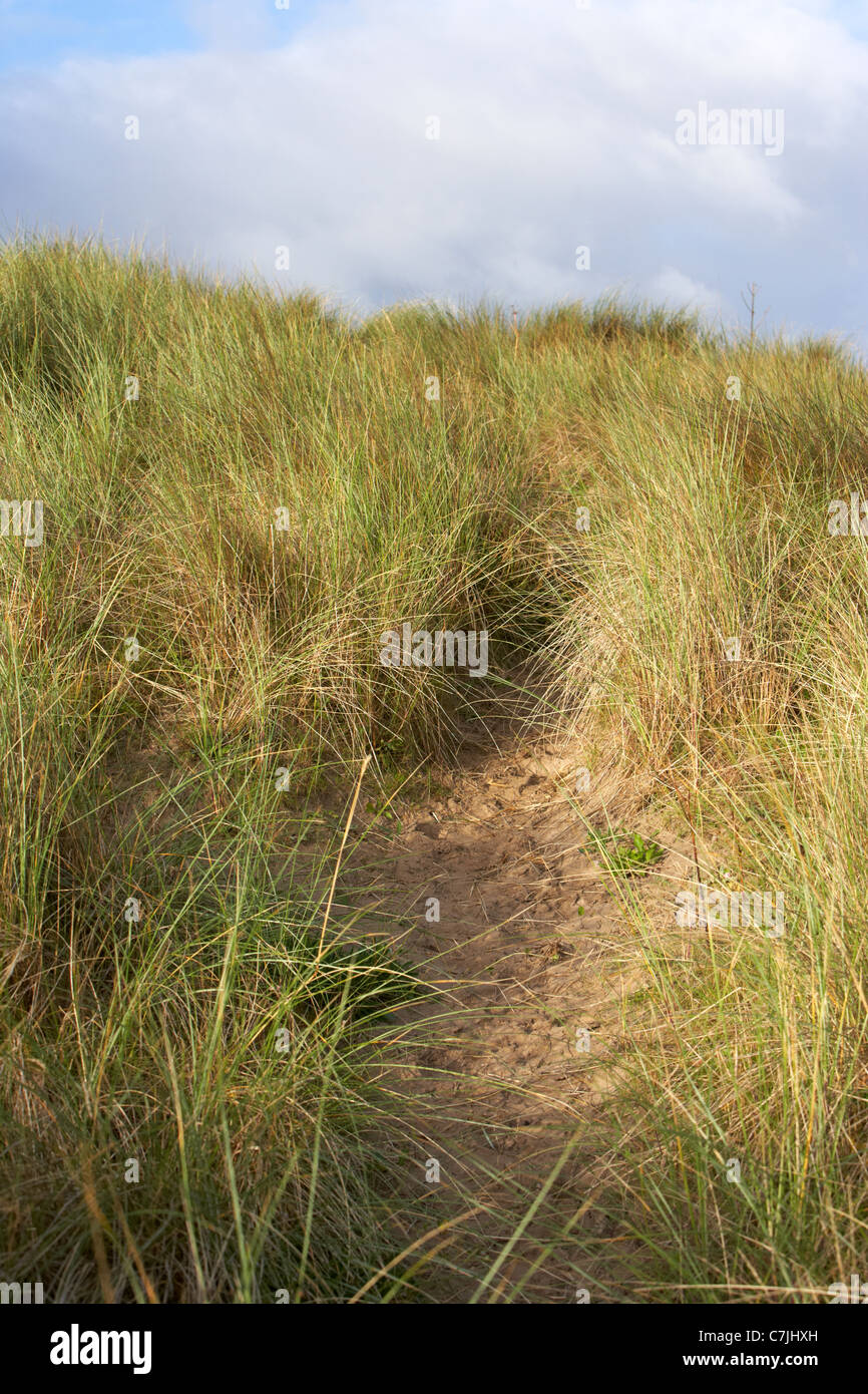 Worn paths grass hi-res stock photography and images - Alamy