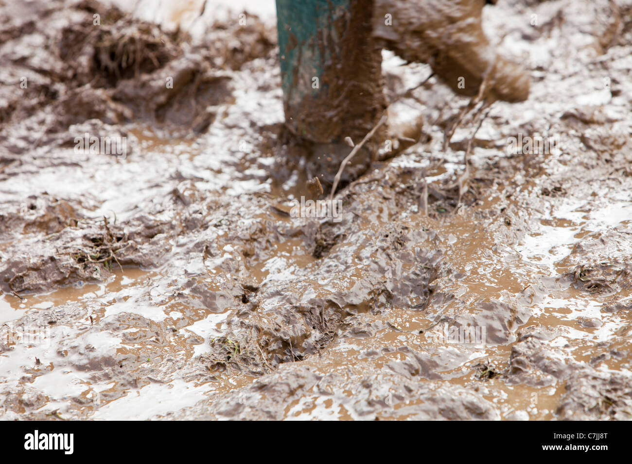 A field churned up into Mud at the World Sheep Dog Trials at Lowther ...