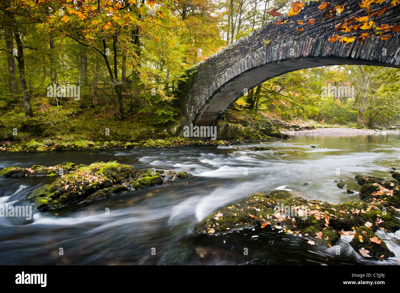 Stone footbridge over a small river in Autumn, Lake District, England ...
