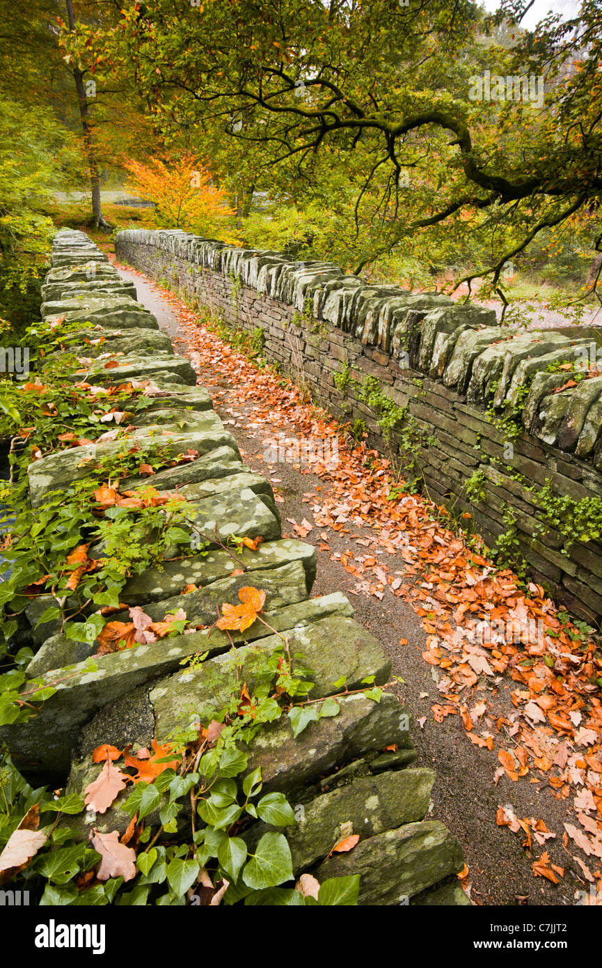 Stone footbridge over a small river in Autumn, Lake District, England ...
