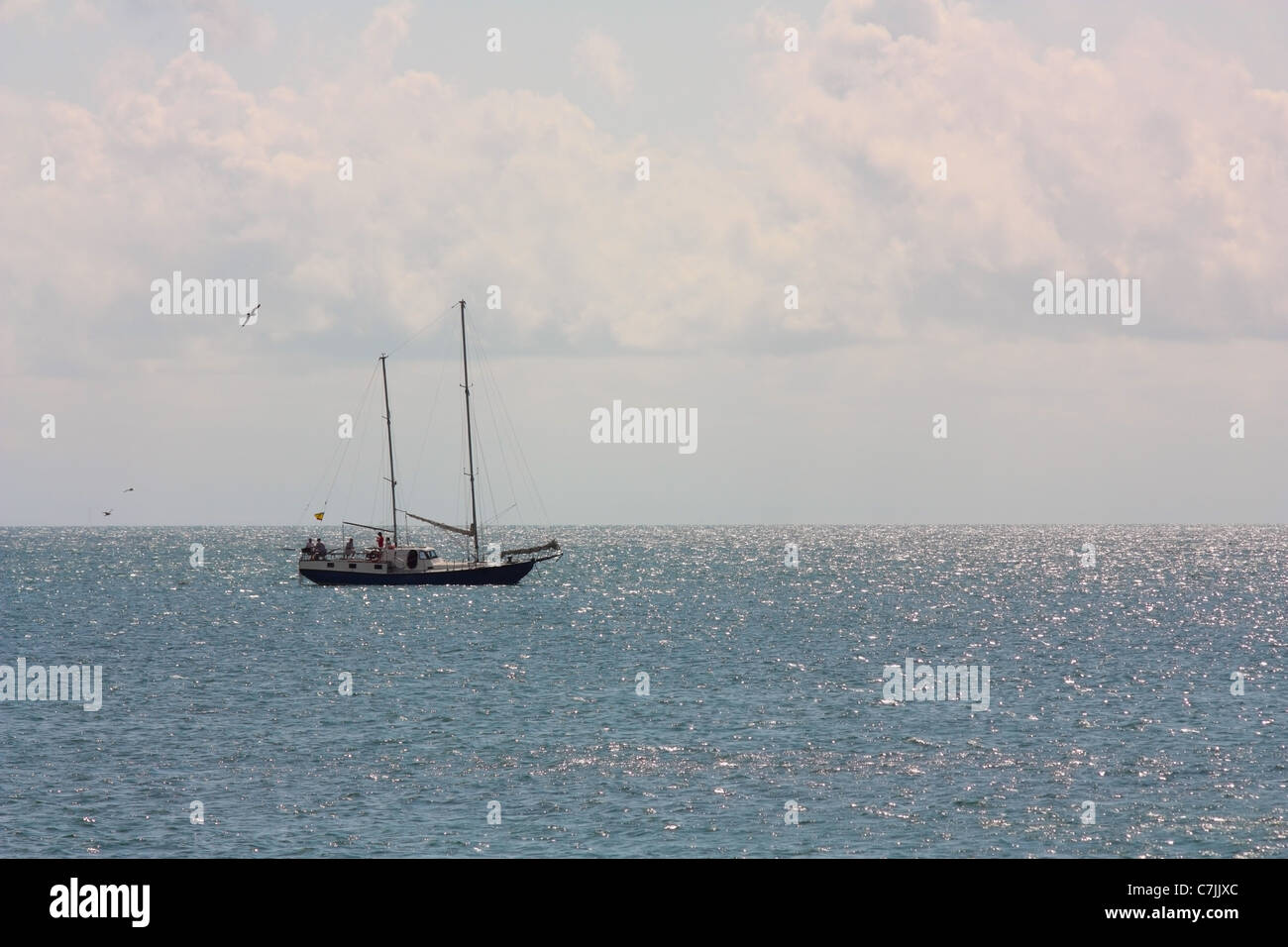 Sailing yacht landscape hi-res stock photography and images - Alamy