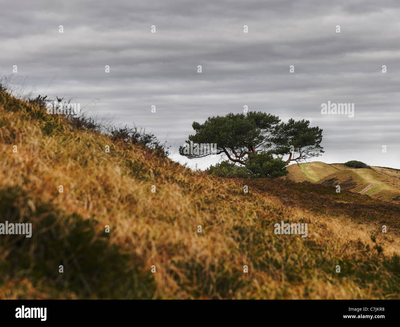 Hillside landscape photography hi-res stock photography and images - Alamy