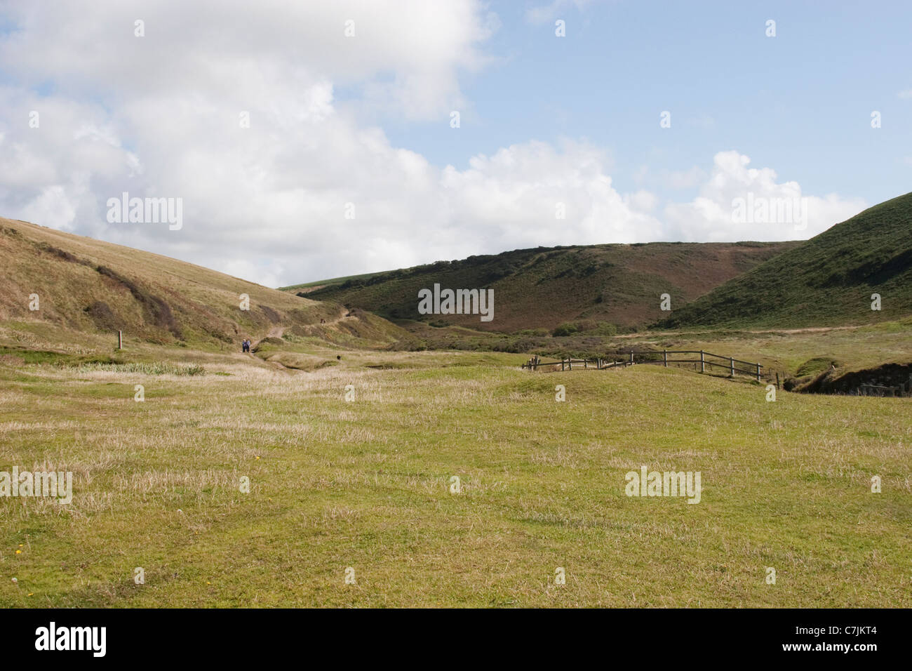 Devon dog walks hi-res stock photography and images - Alamy