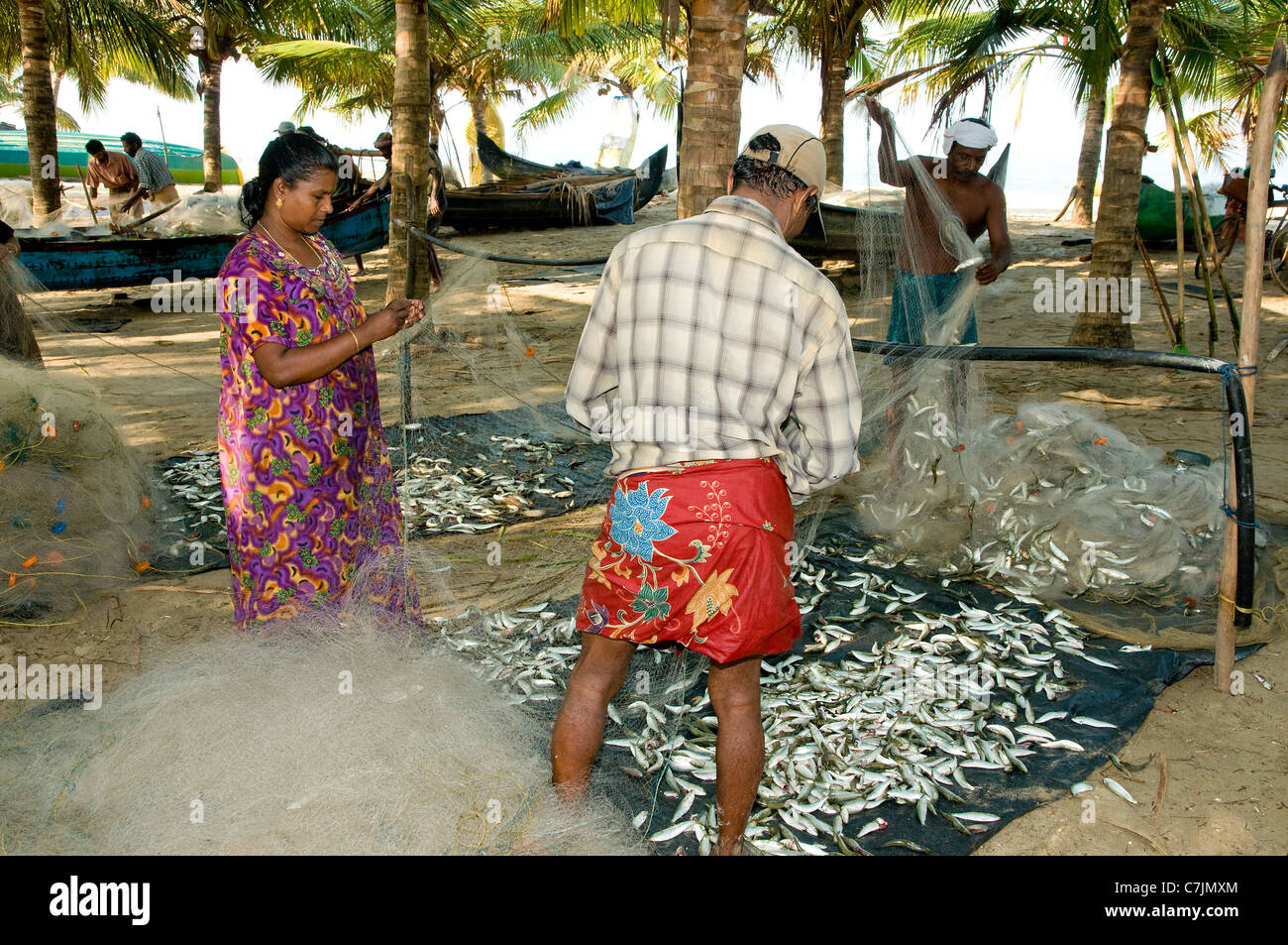 Seaside fishing community tending to catch for drying in the sun at ...
