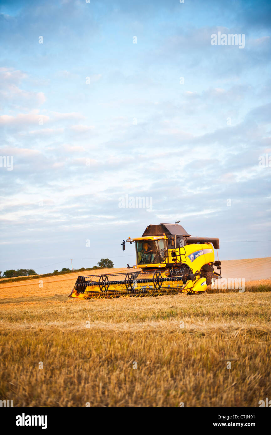 Harvesting crops hi-res stock photography and images - Alamy