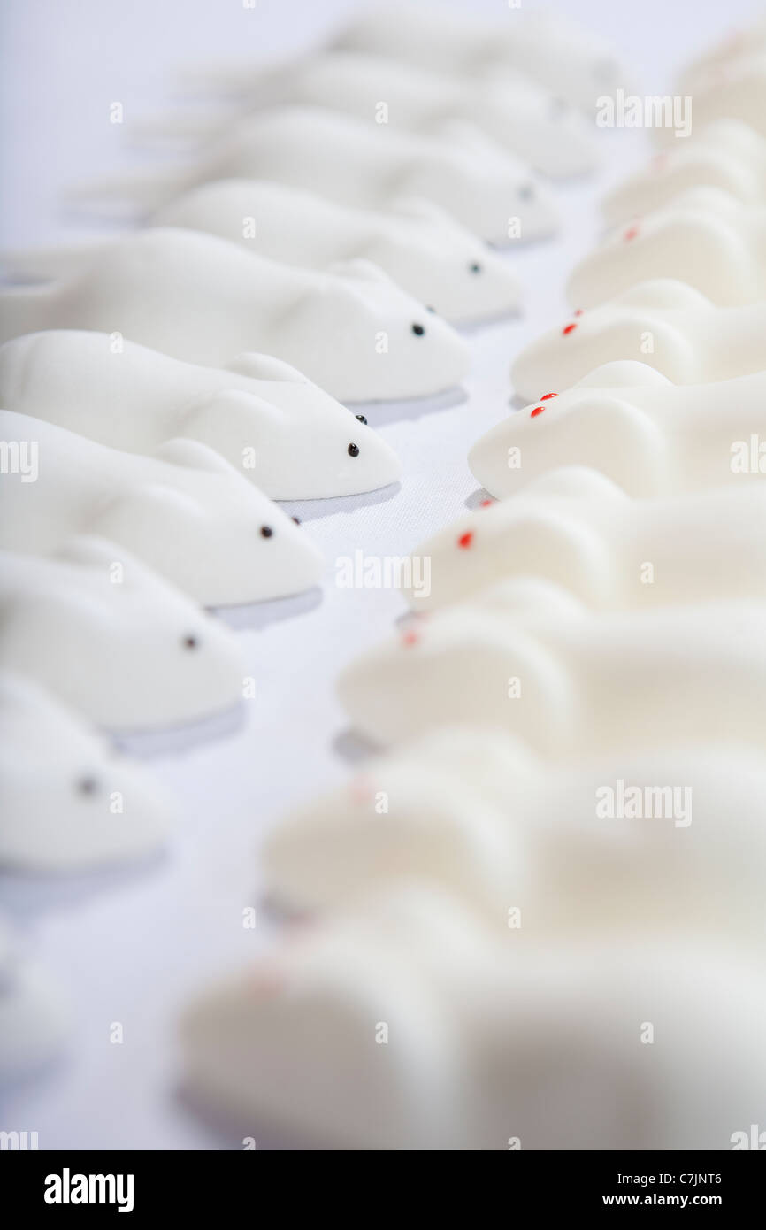 Mouse face close hi-res stock photography and images - Alamy